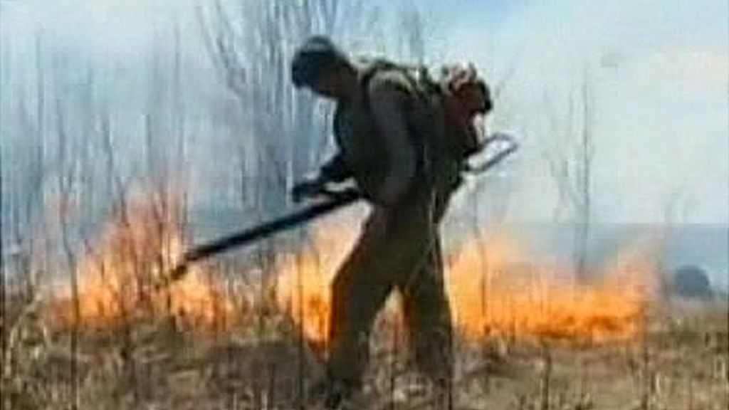 Russian wildfire kills eight firefighters in southern Siberia - BBC News