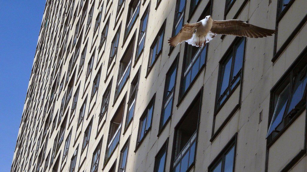 Scenes from the demolition of Glasgow's Red Road estate - BBC News