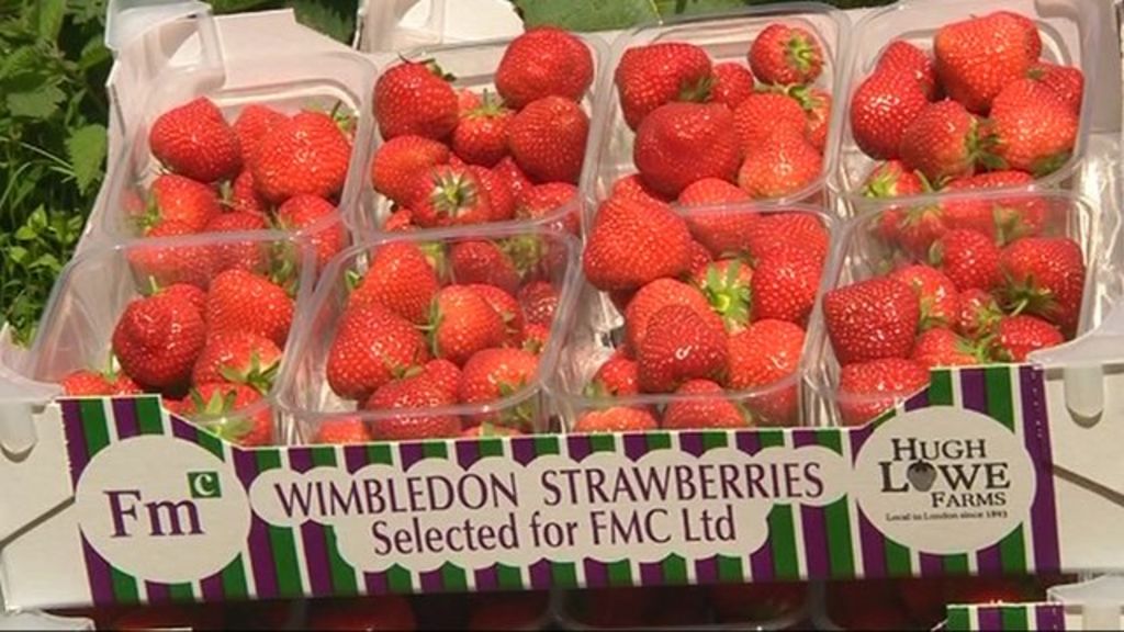 Weather produces 'perfect' strawberries for Wimbledon - BBC News