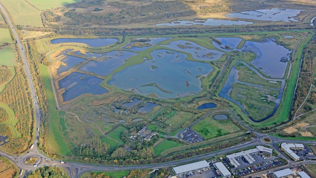 Dearne Valley conservation project in line for lottery grant - BBC News