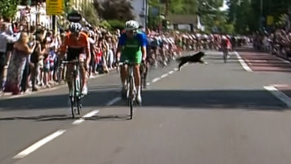 Olympics: Dog interrupts men's road race - BBC Sport