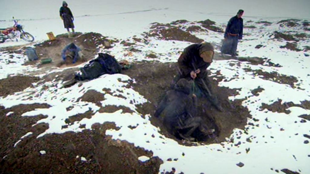 Gold mining in Mongolia 'like a prison camp' - BBC News