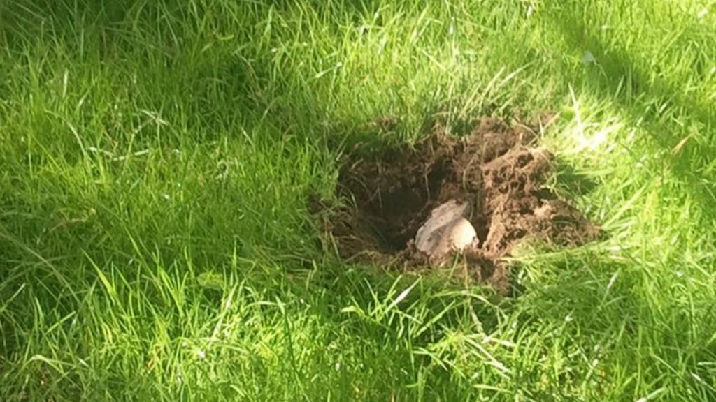 'Huge rocks' fell from the sky - BBC News