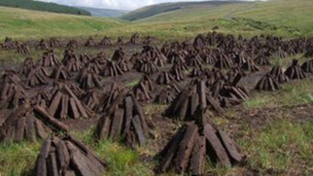 Irish turf battle over European law - BBC News