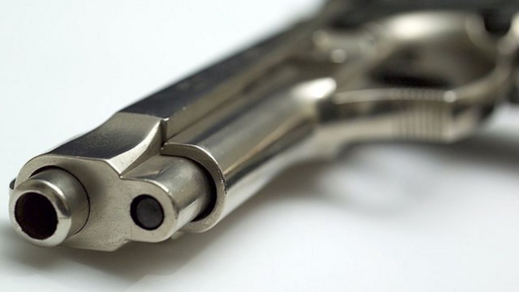 More than 2,500 firearms lost or stolen since 2007 - BBC News