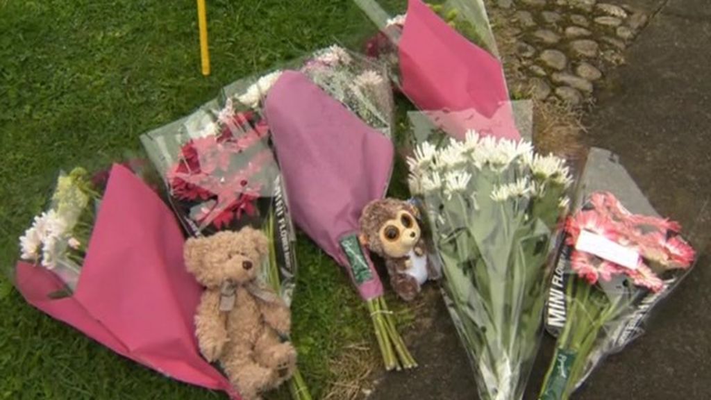 Two boys found dead in flat - BBC News