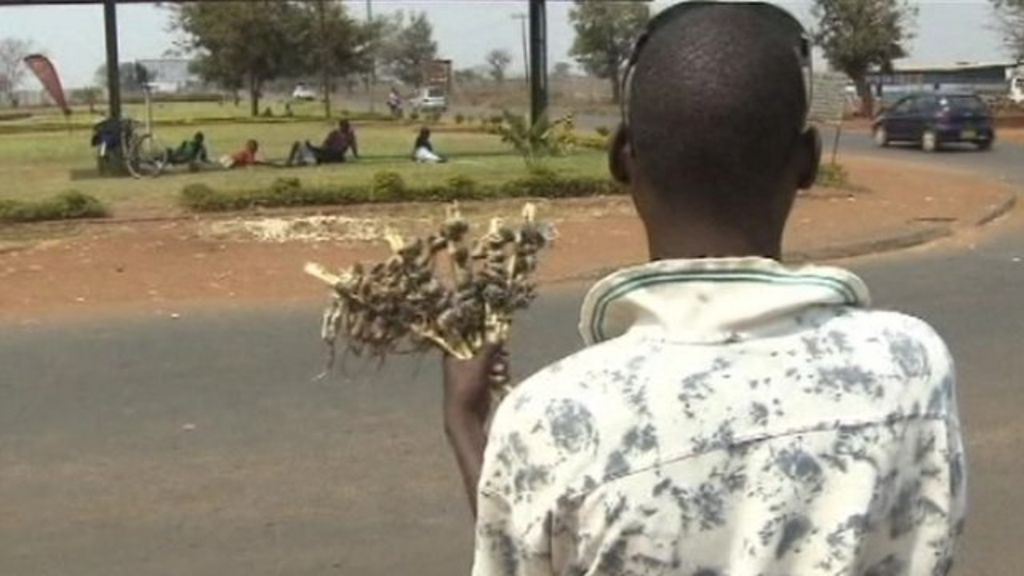 Selling mouse kebabs on Malawi's roads - BBC News