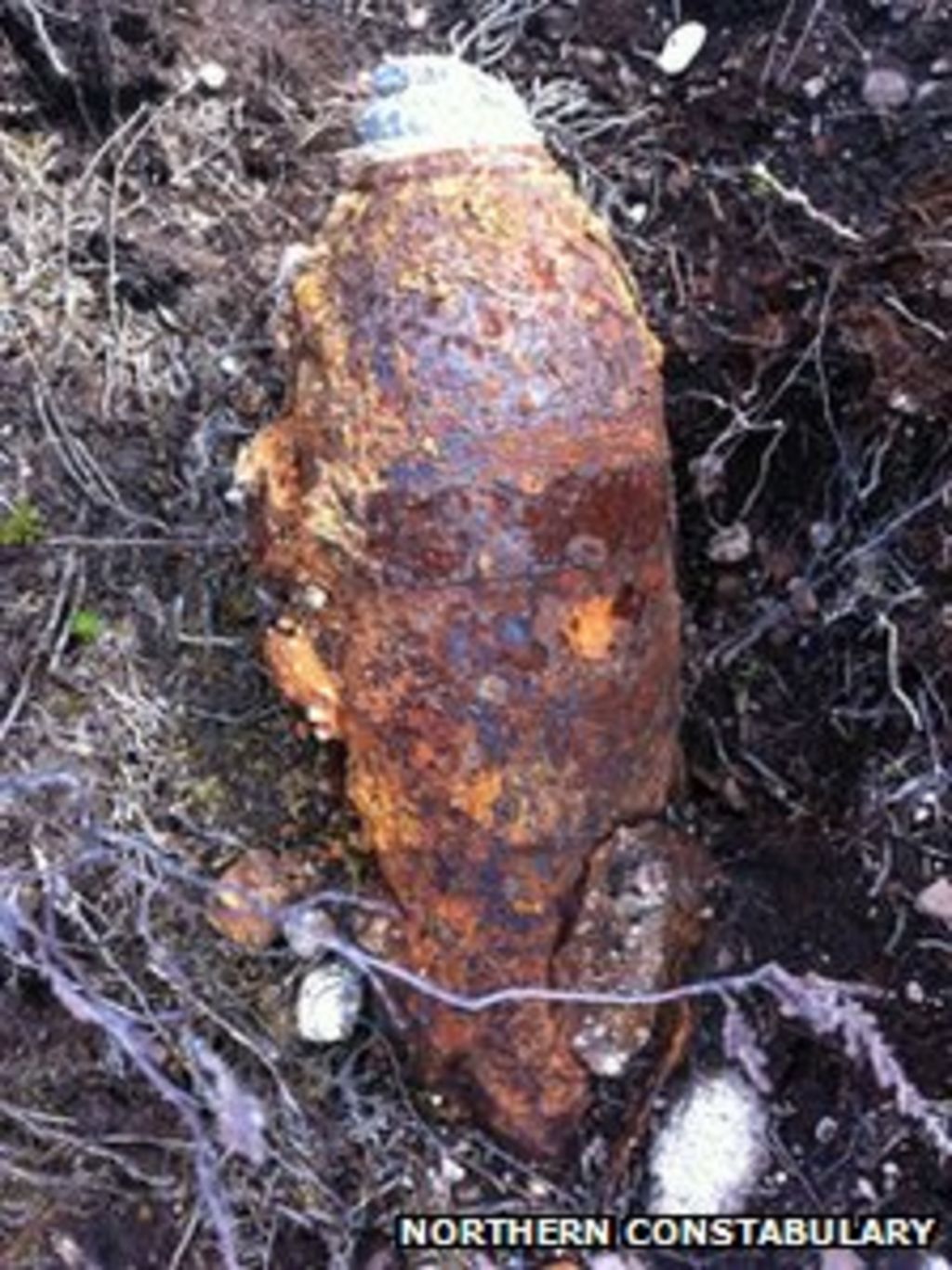 WWII bomb found near Cawdor in controlled explosion - BBC News