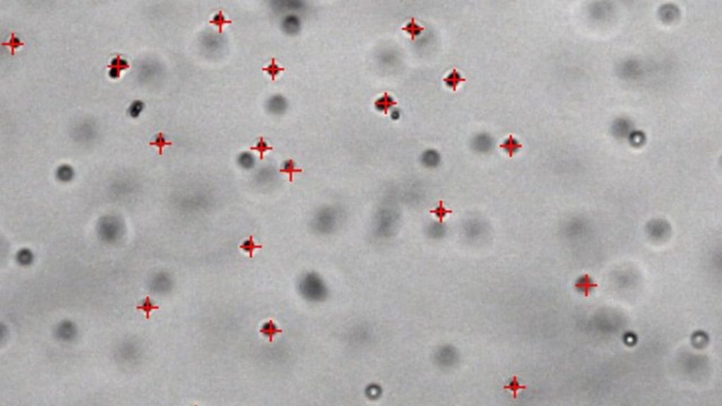 Music from tiny particles' movements set to debut - BBC News