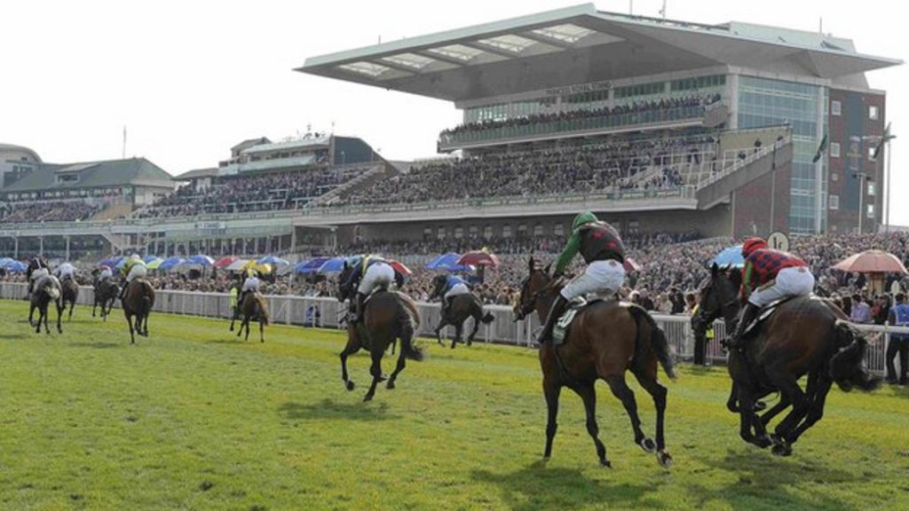 New changes for Grand National - BBC Newsround