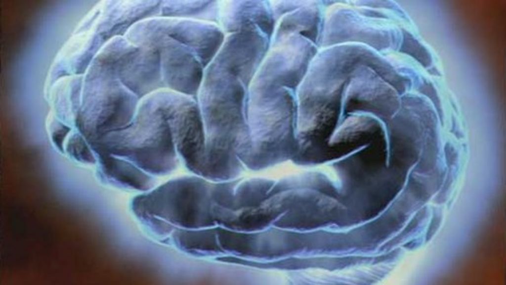 Human brain gene map shows striking similarities - BBC News