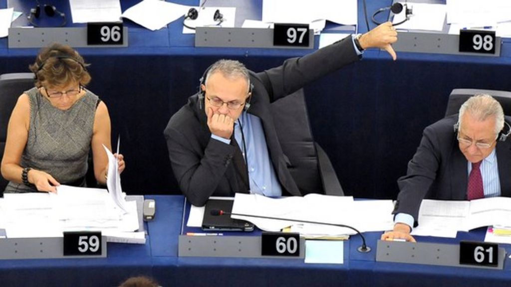 Viewpoints: What future for the European project? - BBC News