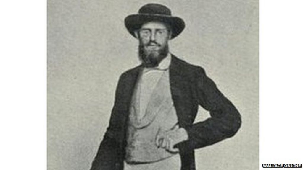 Wallace 'discovered evolution' in south east Asia - BBC News