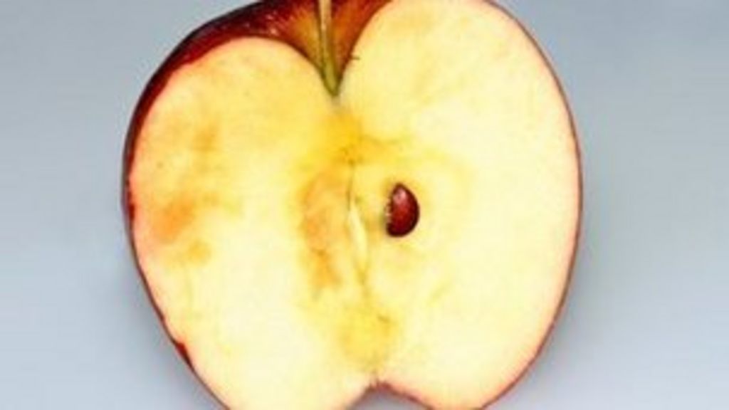 Apple core litter fine angers County Down driver - BBC News