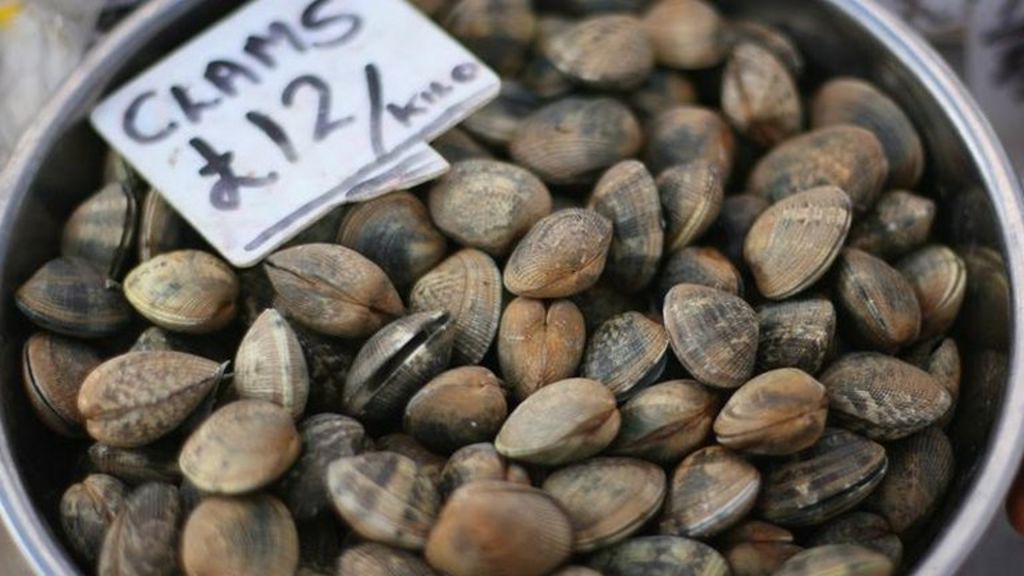 Men caught in Southampton harvesting 'poisonous' clams - BBC News
