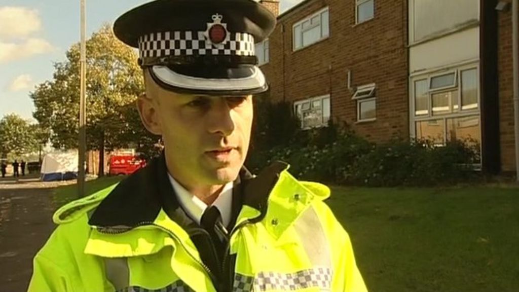 Harlow fire was not a racist attack, say police - BBC News