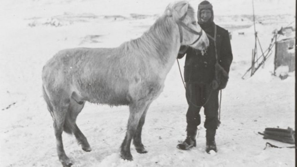 Captain Scott Antarctic photos shown in Cambridge - BBC News