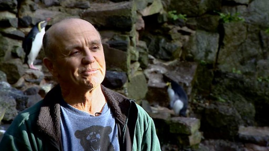 Doug Allan on his career highlight filming Frozen Planet - BBC News