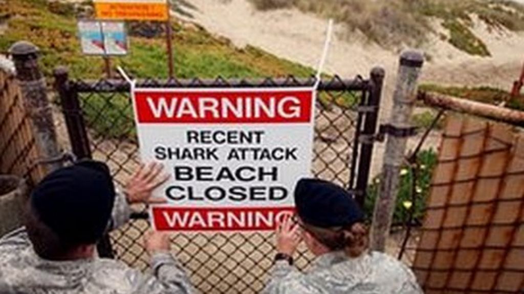 Shark attack: Surfer killed off Surf Beach, California - BBC News