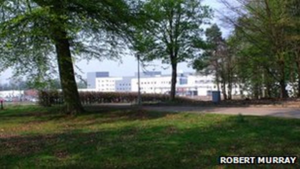 Larbert hospital's woodland recovery scheme a success - BBC News