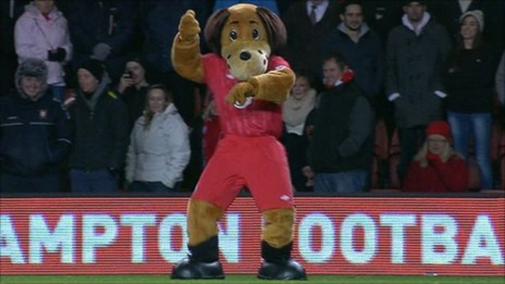 Gangnam Style: Southampton mascot dog Sammy Saint dances - BBC Sport