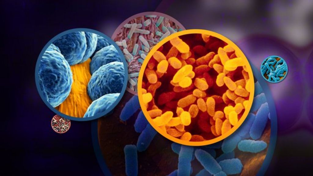 Battling the bacterial threat to modern medicine - BBC News