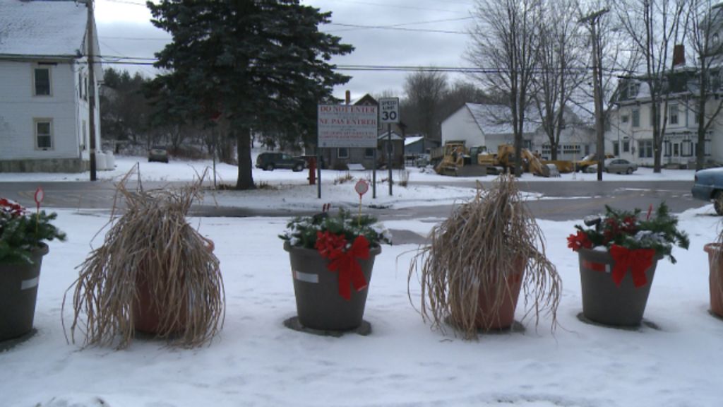 Flower power border divides US and Canada - BBC News