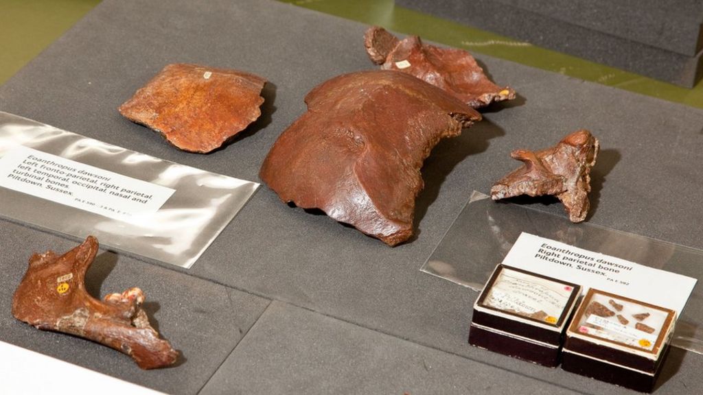 Piltdown Man: Unfinished business - BBC News