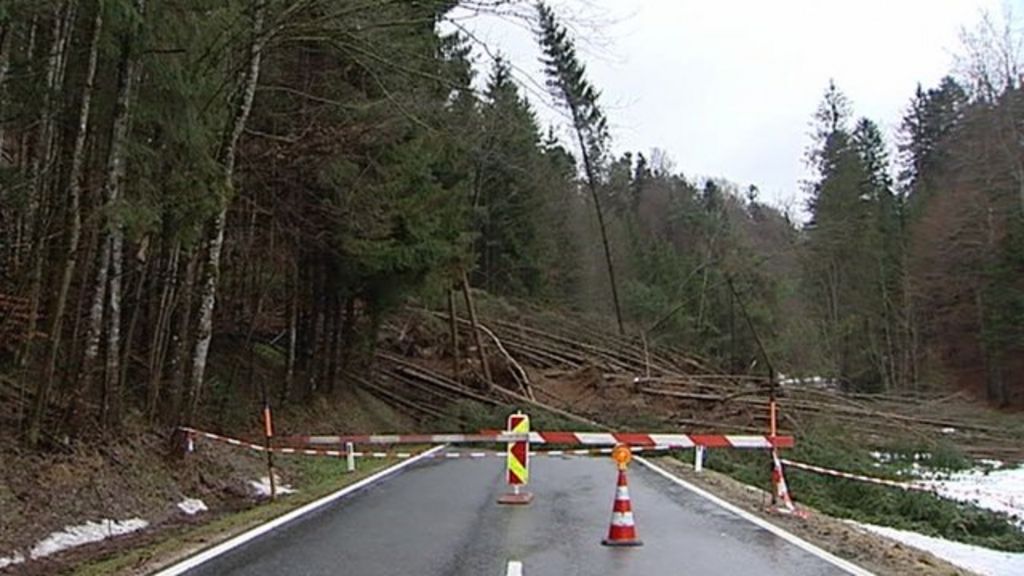 Austria landslides amid heavy rain - BBC News