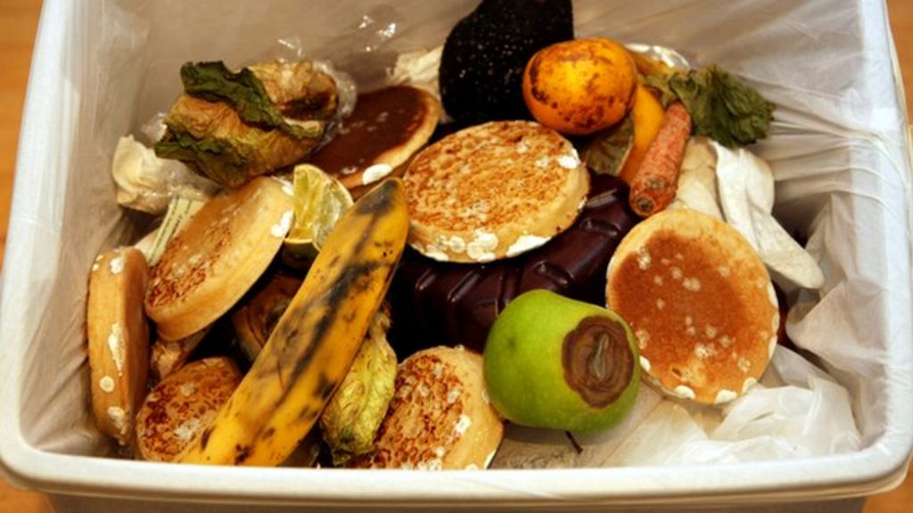 Comments: Do we waste too much food? - BBC Newsround