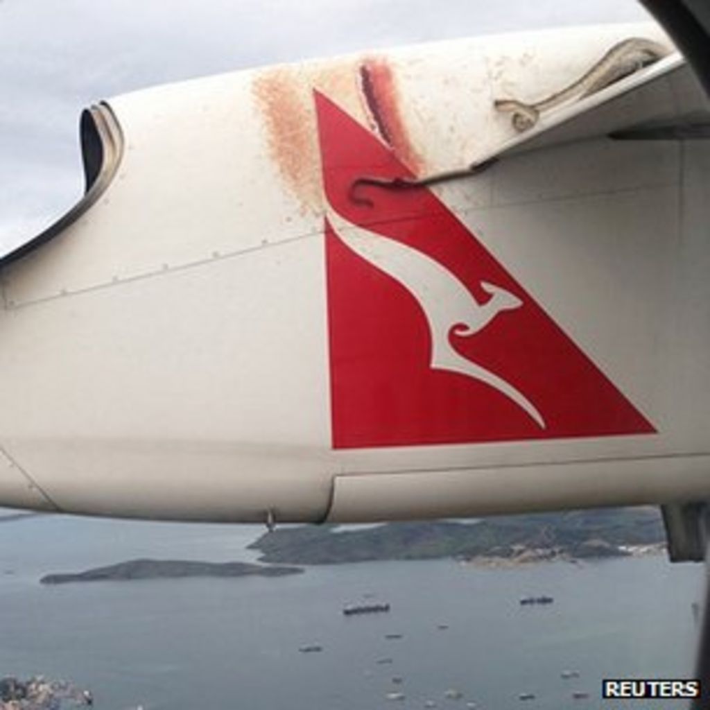 Snake clings to Qantas plane's wing during flight - BBC News
