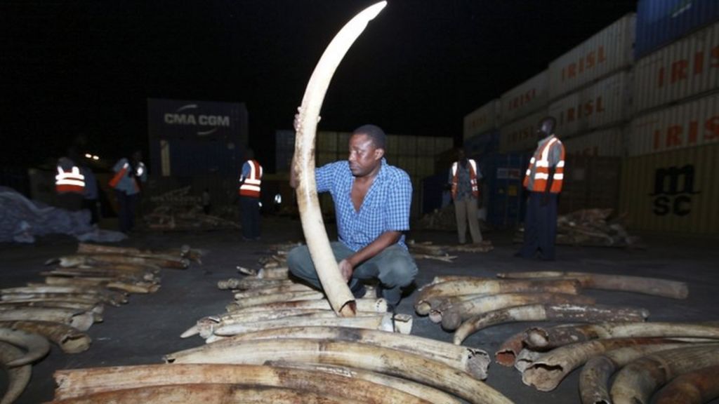 Kenya seizes smuggled ivory in Mombasa port - BBC News