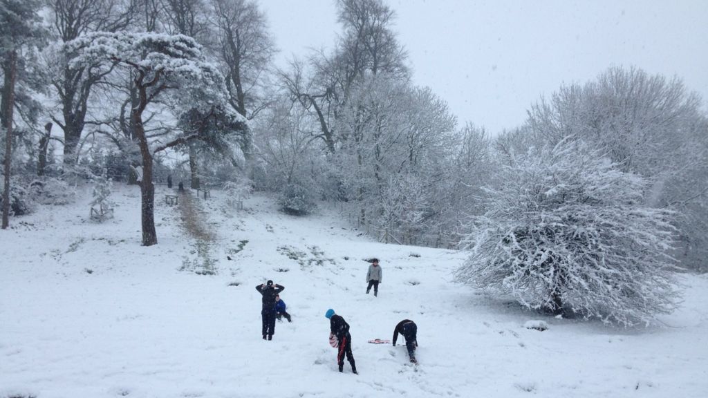 Dorset snow: Difficult conditions on roads following snowfall - BBC News