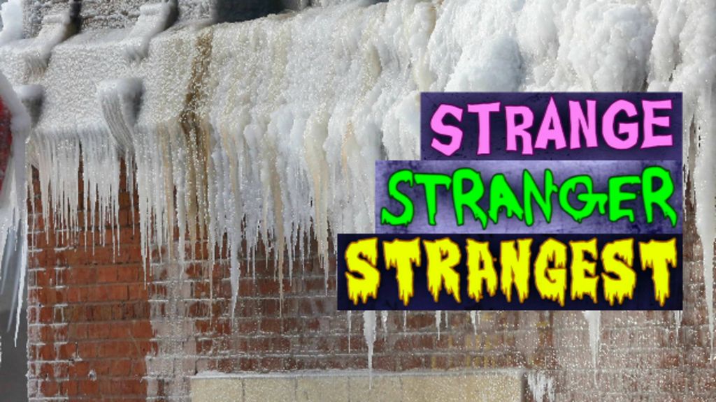 Strange, Stranger, Strangest - BBC Newsround