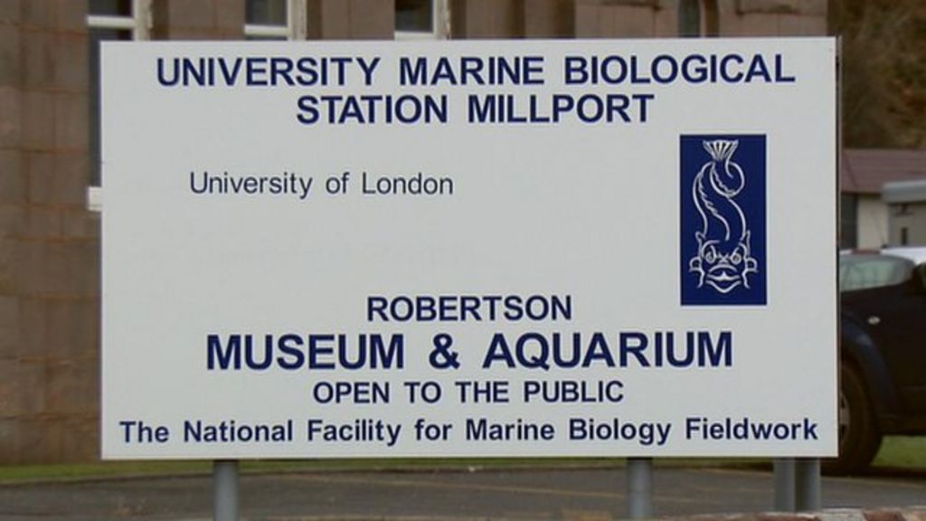Cumbrae marine research centre under threat of closure - BBC News