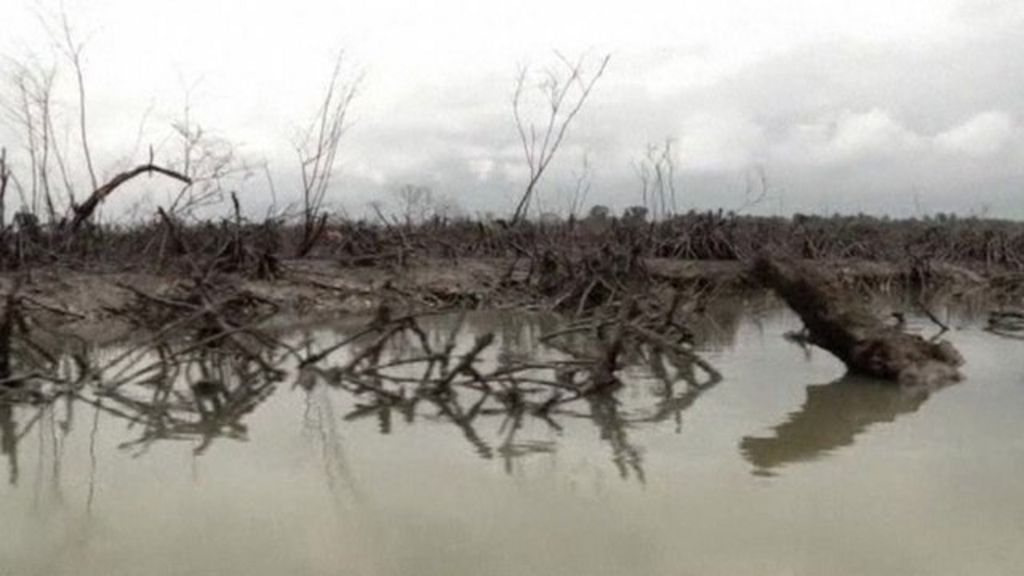 Shell in Nigeria: Court acquits firm on most charges - BBC News