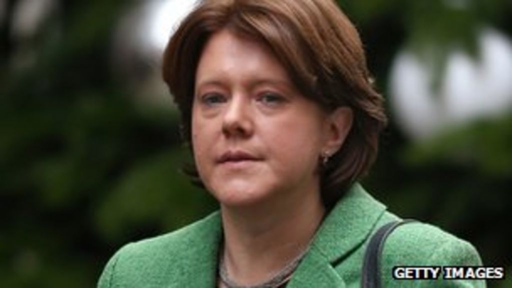 Gay marriage: Maria Miller insists government is right to press ahead ...