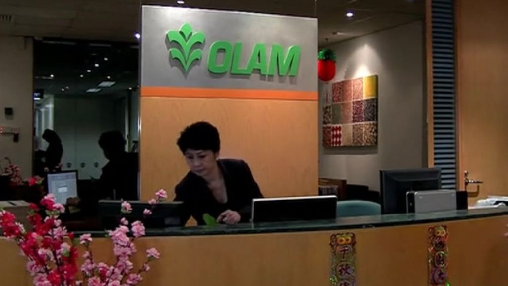 Olam in focus as it reports earnings after Muddy Waters claims - BBC News