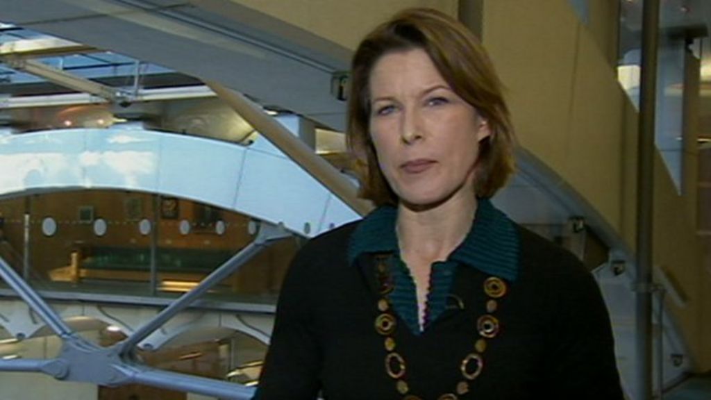 Stephanie Flanders: Analysis of Mark Carney evidence - BBC News