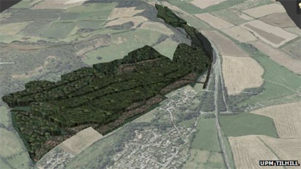Brian May from Queen unveils Dorset woodland vision - BBC News