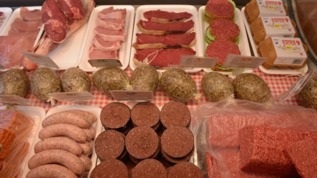 Hayley's horsemeat report... - BBC Newsround