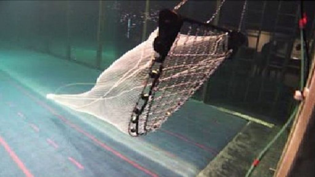 Can new technology save fish? - BBC News