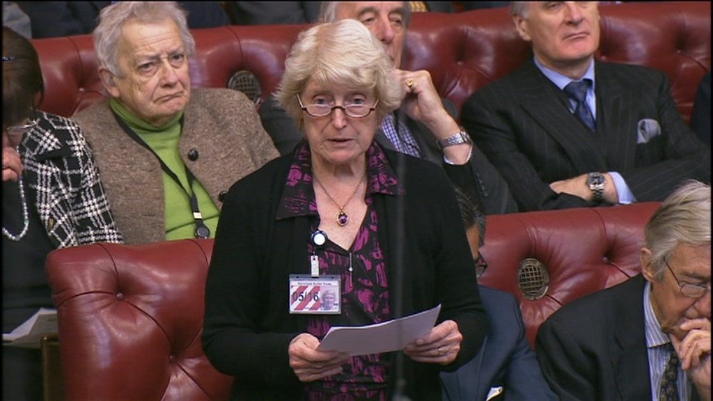 Baroness Butler-Sloss apologises to Fathers4Justice for 'death threat ...
