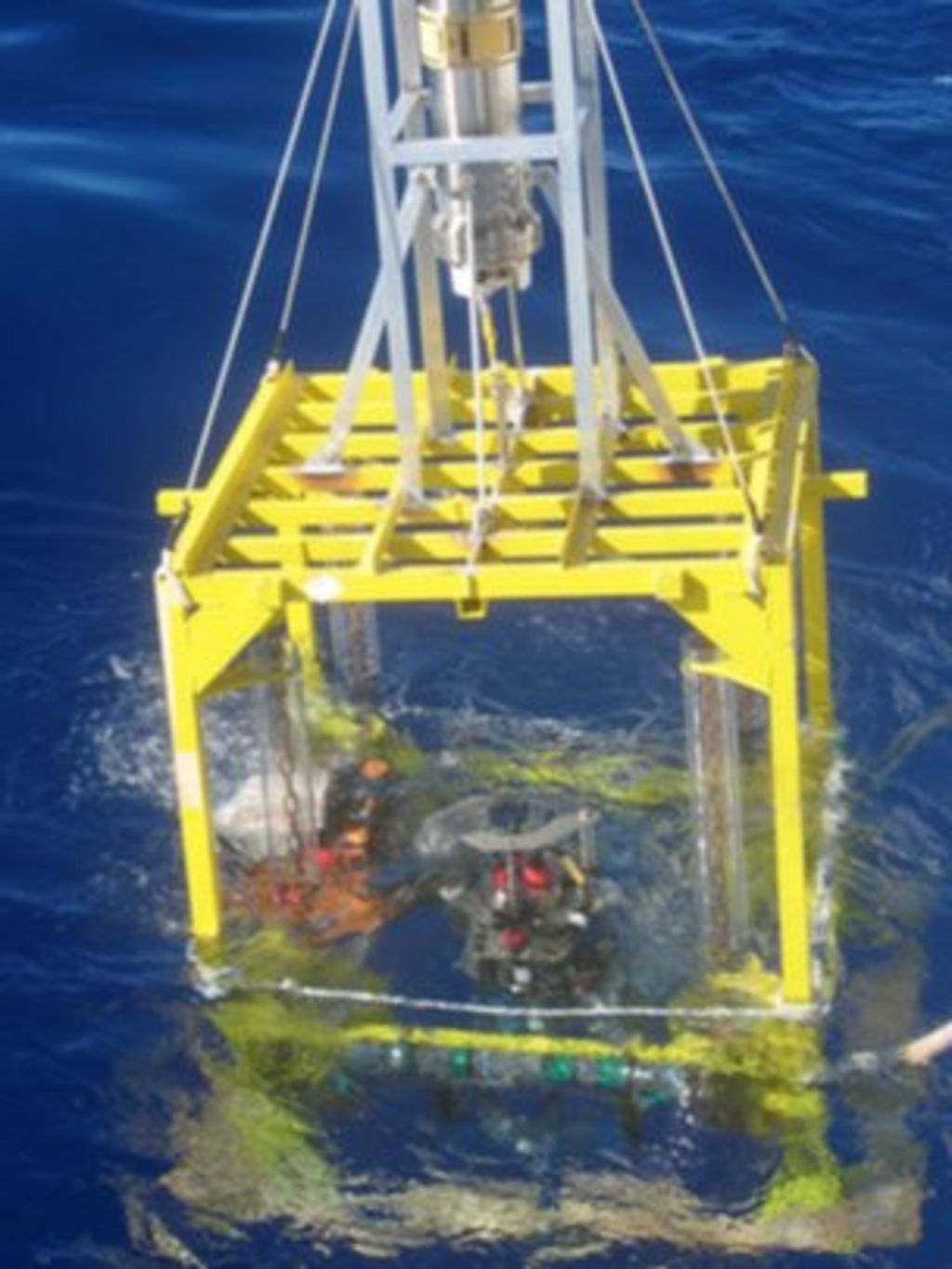 Mariana Trench: Deepest ocean 'teems with microbes' - BBC News