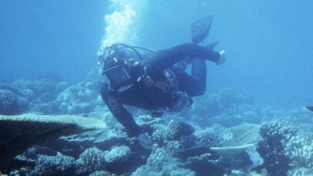 Scientist find Earth's deepest sea trench full of life - BBC News
