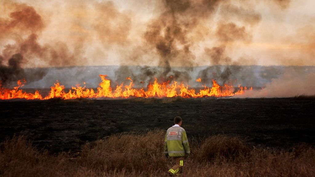 Parkgate marsh fire destroys birds' habitat - BBC News