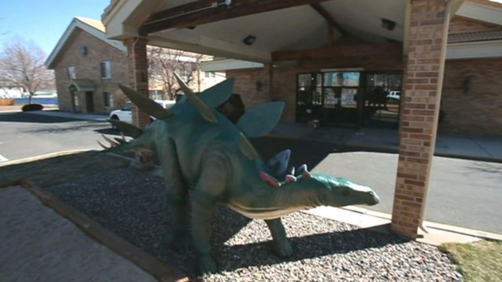 The dinosaur-themed hotel in America - BBC Newsround