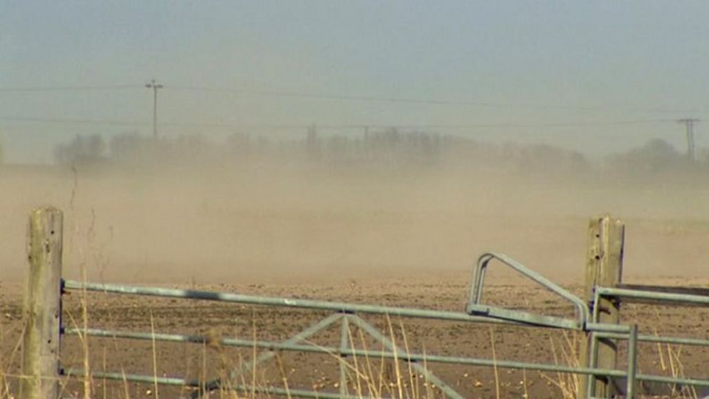 Fen Blow dust storms cause traffic hazards - BBC News