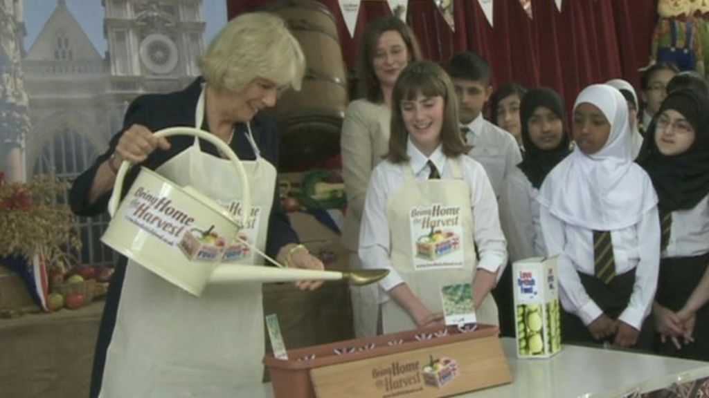 Kids prepare for Harvest Festival with some royal help - BBC Newsround