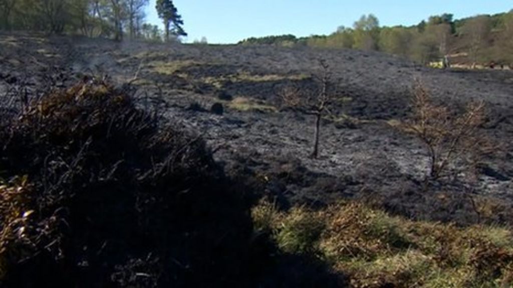 Cannock Chase grass fires 'deliberate' - BBC News